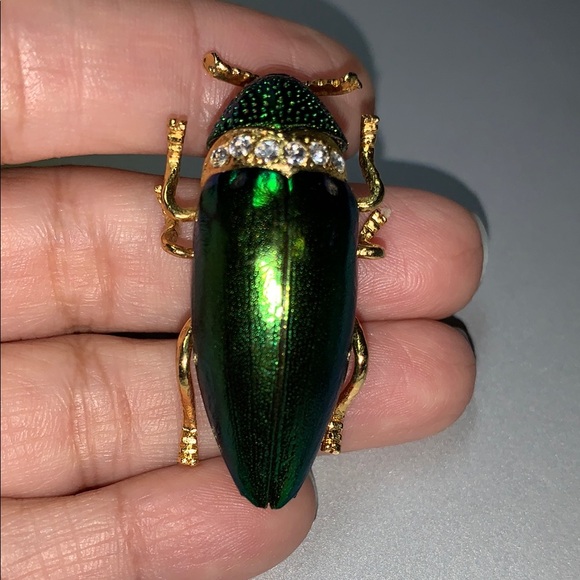 Jewelry | Thai Handcrafted Green Elytra Beetle Pin Brooch Real ...